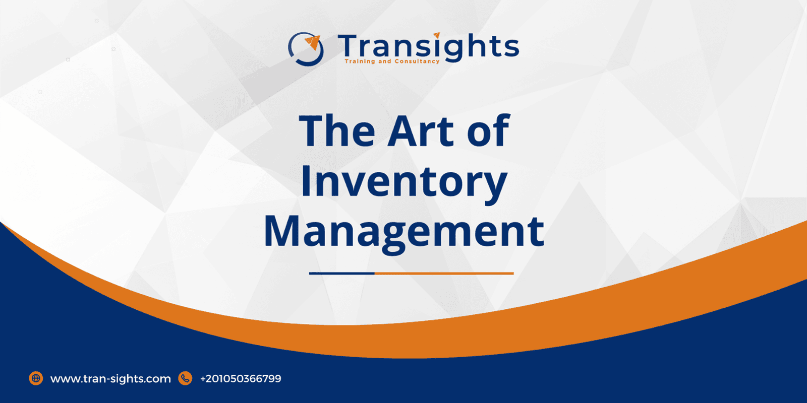 Maximizing Efficiency: The Art of Inventory Management | Transights